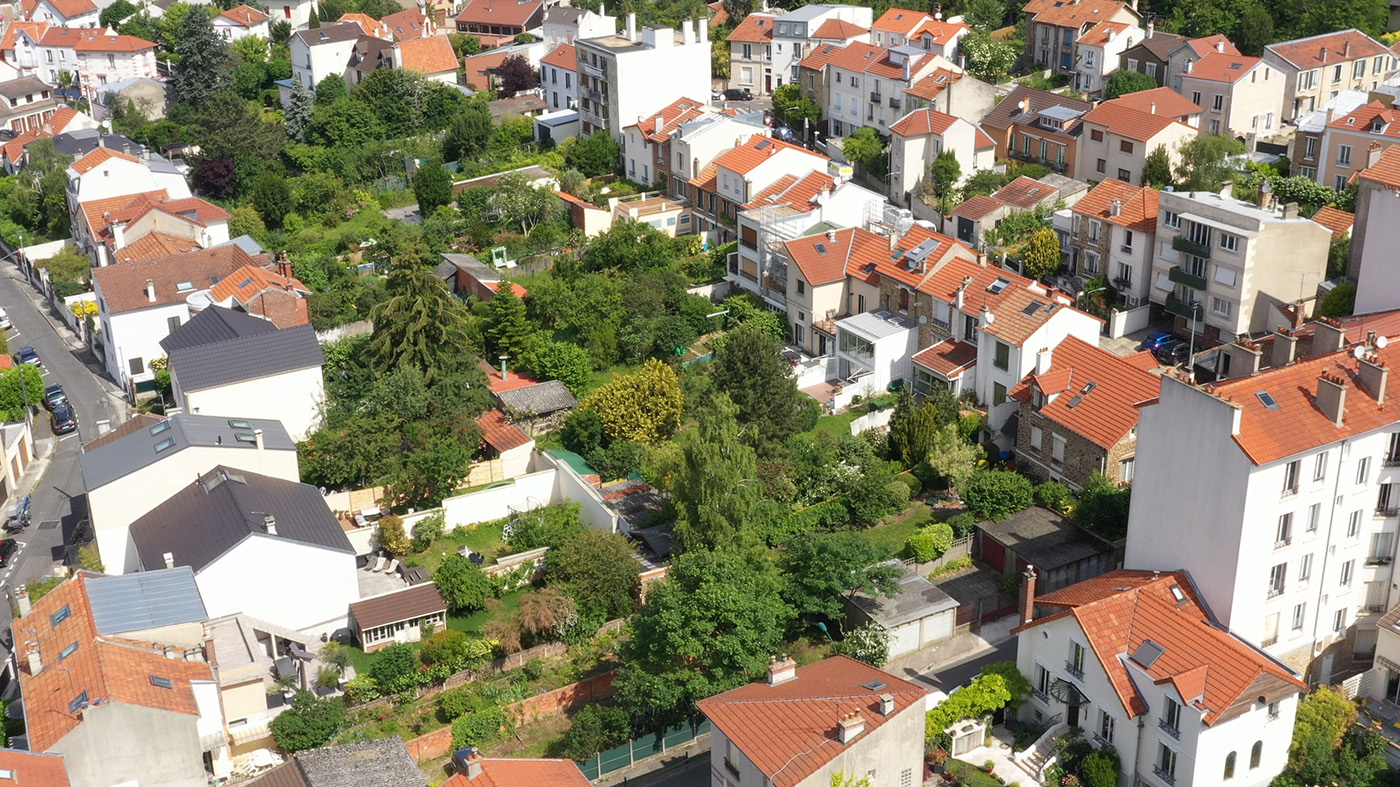 Aidez la Ville à répertorier le patrimoine arboré - Ville de Nogent-sur ...