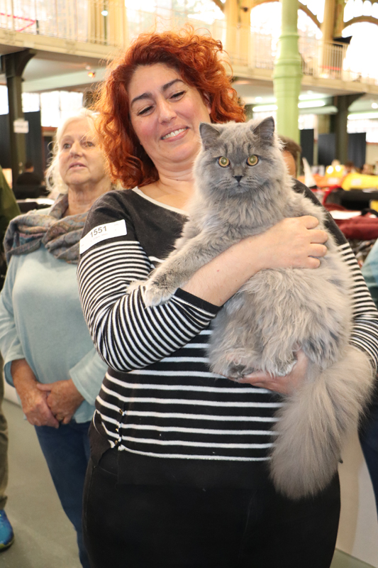 Salon du Chat - Ville de Nogent-sur-Marne