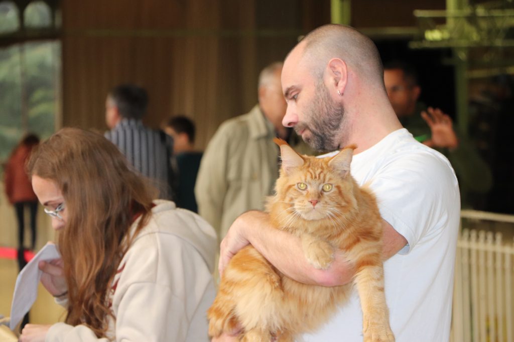 Salon du Chat - Ville de Nogent-sur-Marne