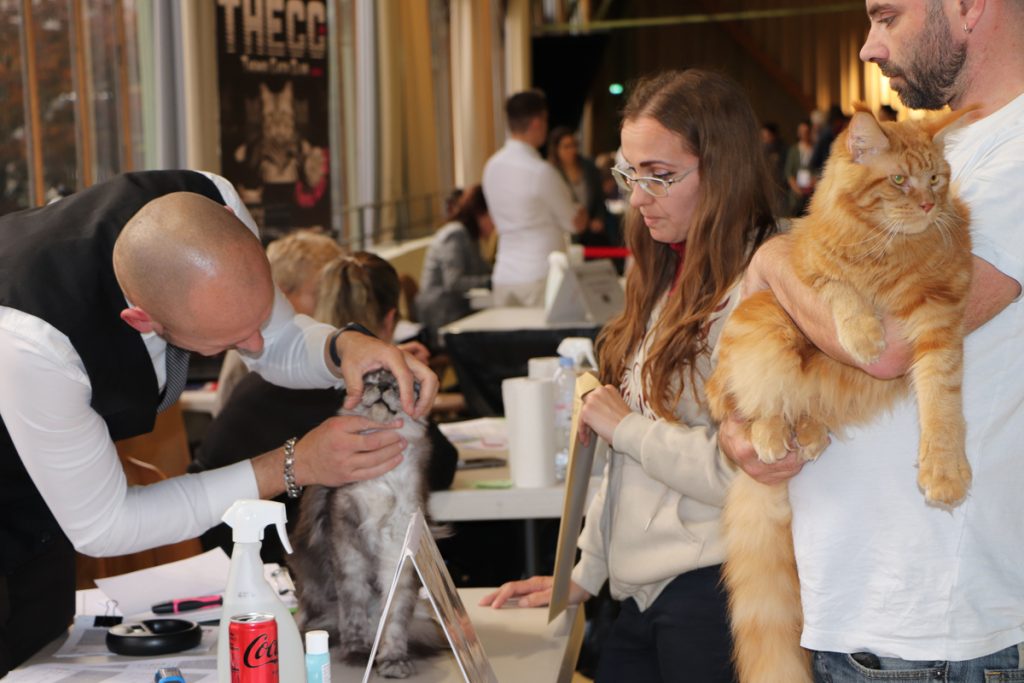 Salon du Chat - Ville de Nogent-sur-Marne