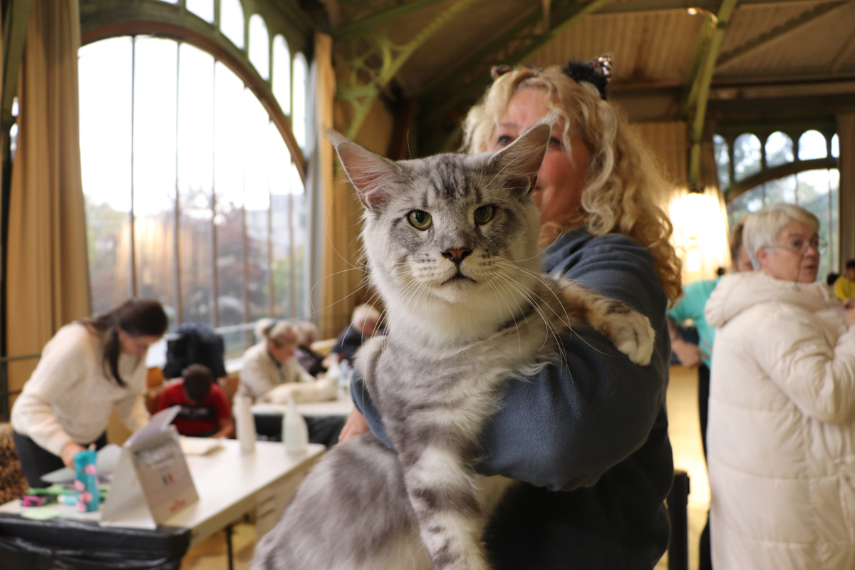Salon du chat au Pavillon Baltard - Ville de Nogent-sur-Marne